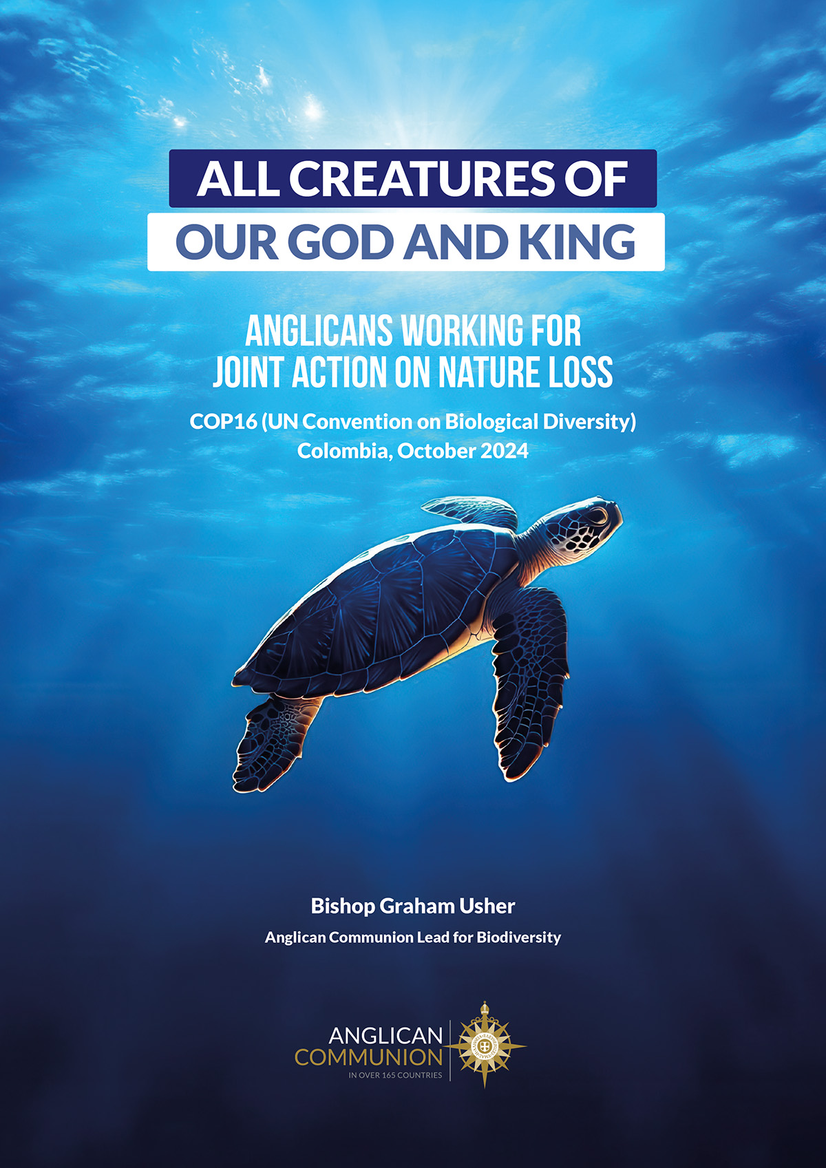 Anglicans at COP16